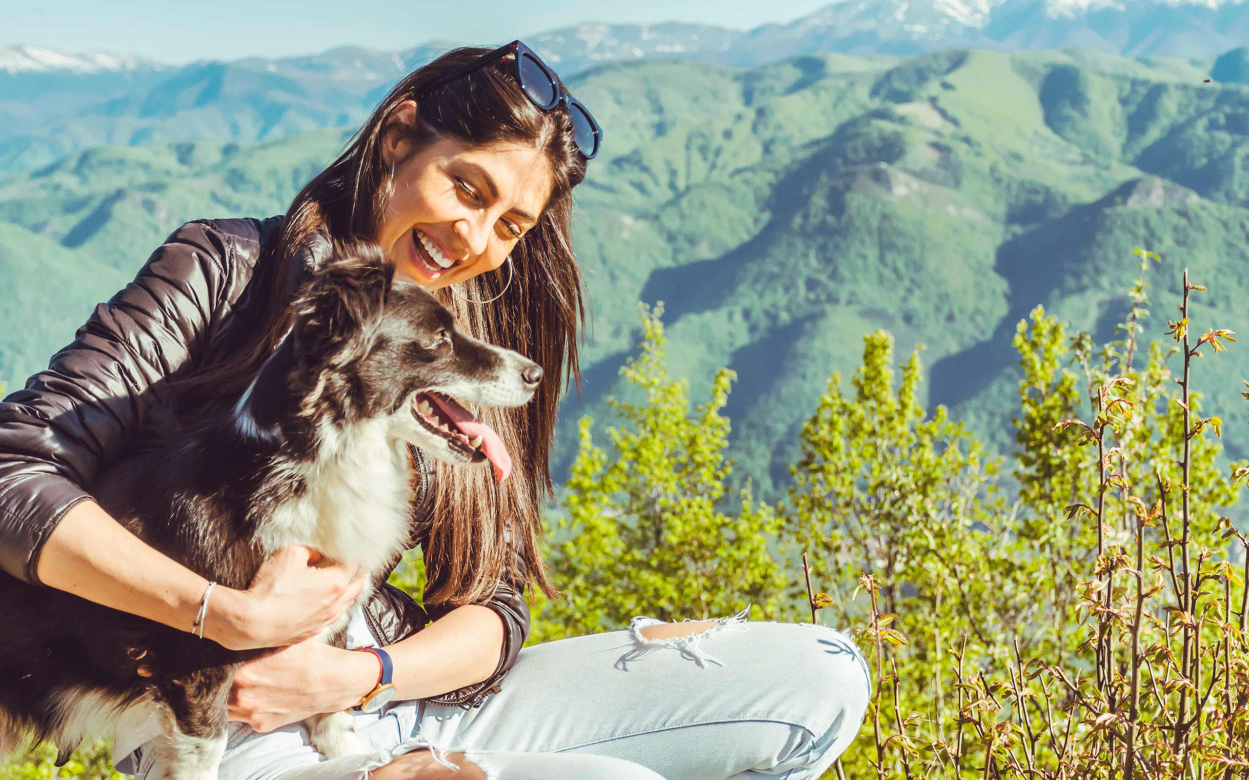 Veterinarian in Concord, CA | Trusted Vet | Contact Us Today!